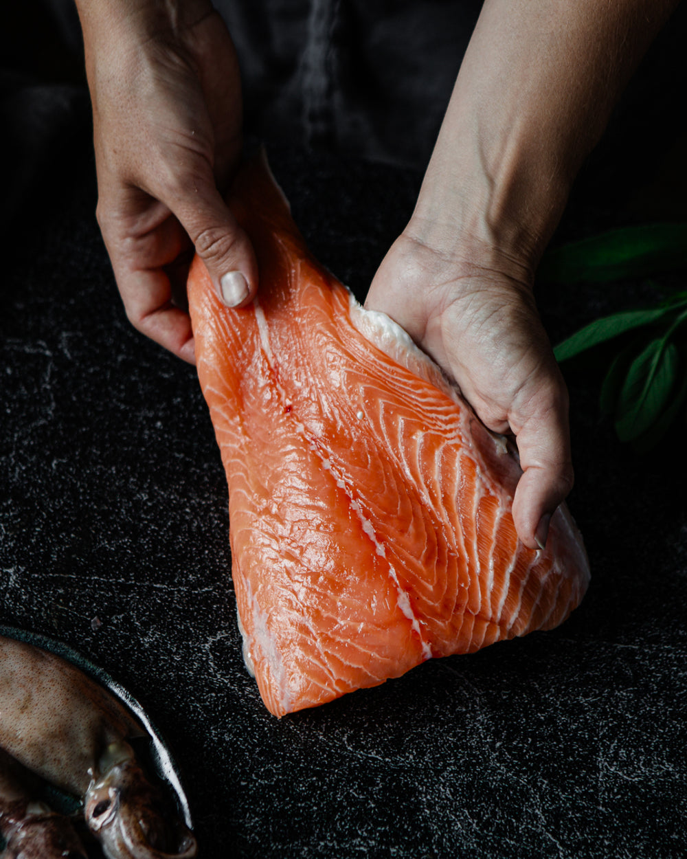 Sensitive Skin & Stomach Salmon Recipe